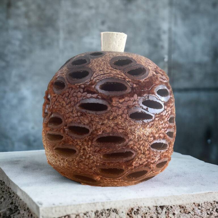 Banksia Seed Pod Refillable Essential Oil Diffuser - Nature's Nudge